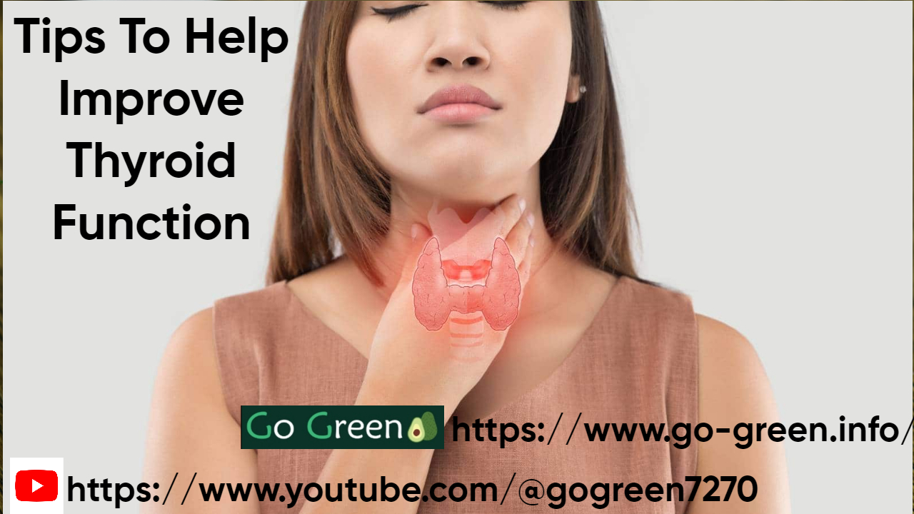 Tips To Help Improve Thyroid Function - Medical information and health ...