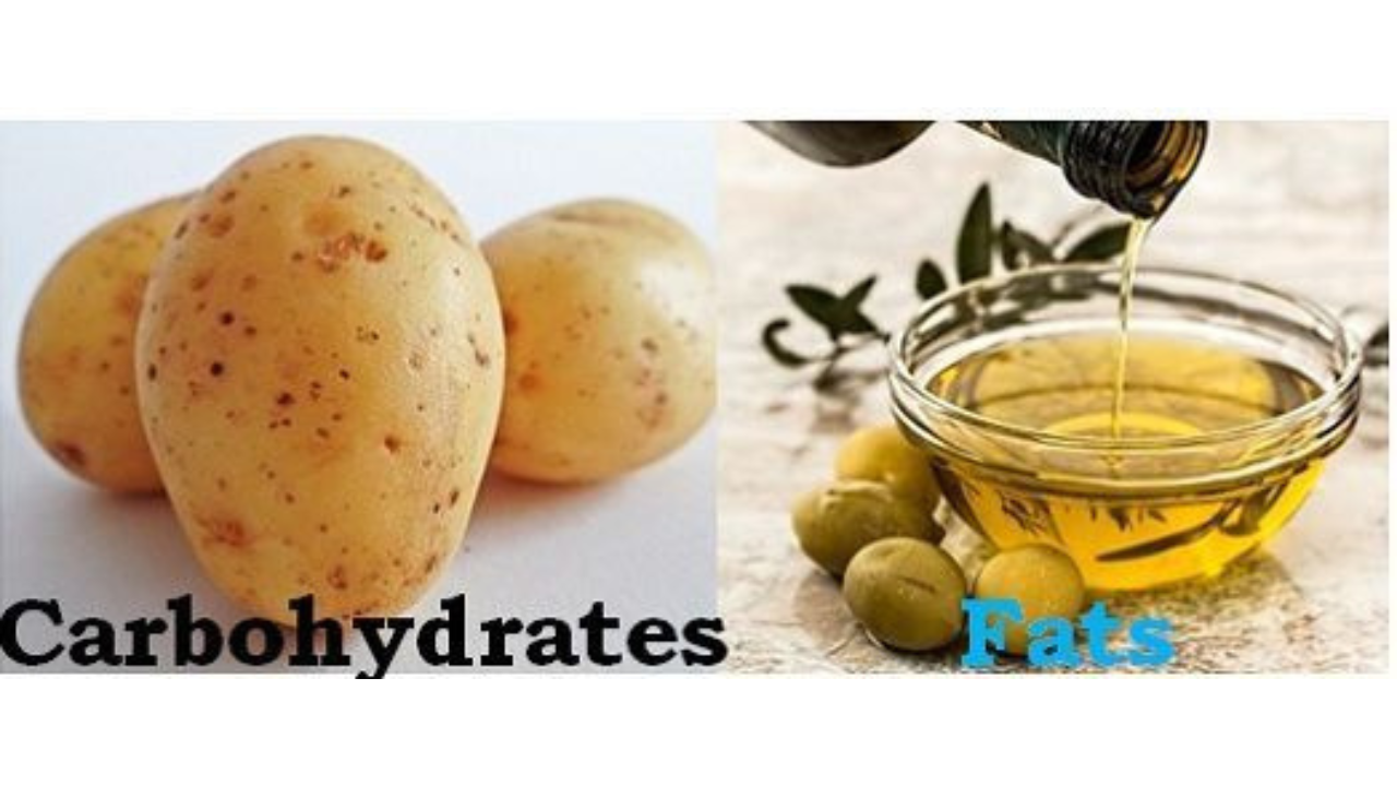 Why is Fat Absorbed so Differently as Compared to Carbohydrates ...