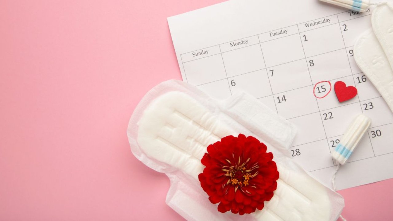 Phases of Menstruation - Medical information and health advice - Go Green