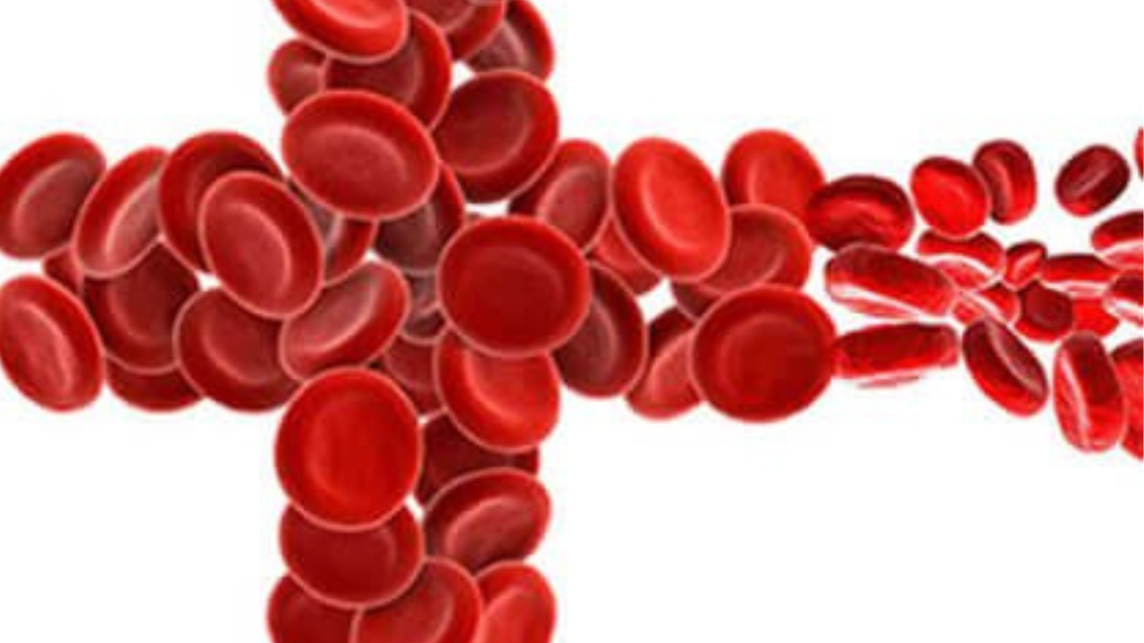 Which Food Increases Platelets Level? - Medical information and health ...