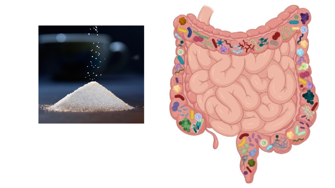How Does Sugar Consumption Affect The Gut Micro biome, and What are The ...