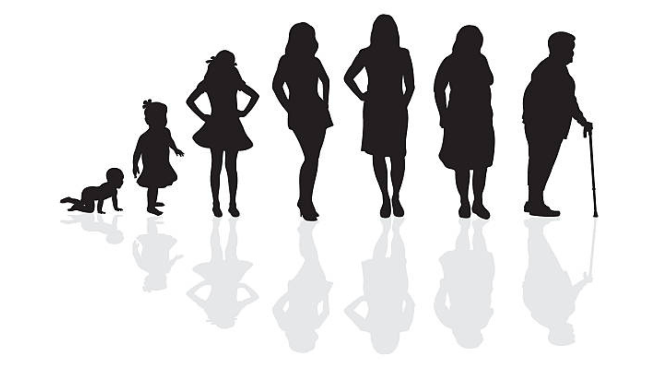 Female Life Cycle Transitions - Medical information and health advice ...