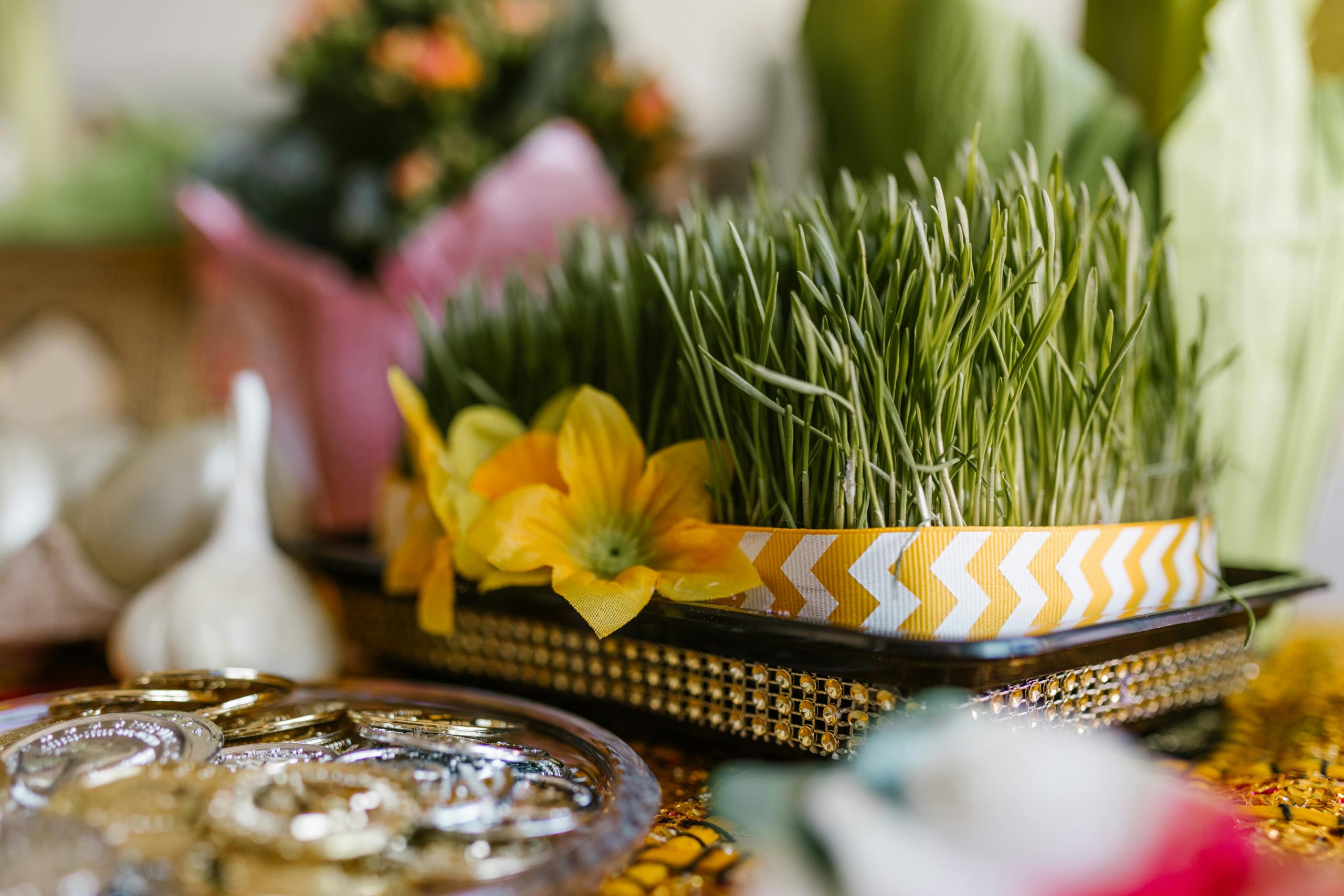 The Healing Properties of Wheatgrass: Everything You Need to Know ...